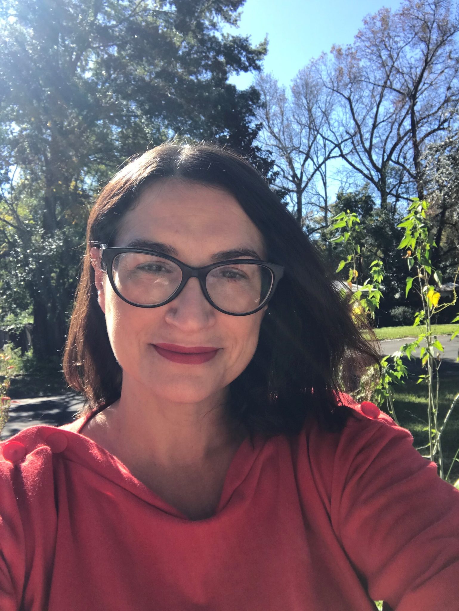 About the National Network of Perinatal Quality Collaboratives (NNPQC)